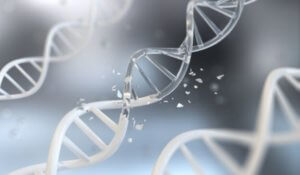 Nor Cal Natural Medicine - Dr June Stevens